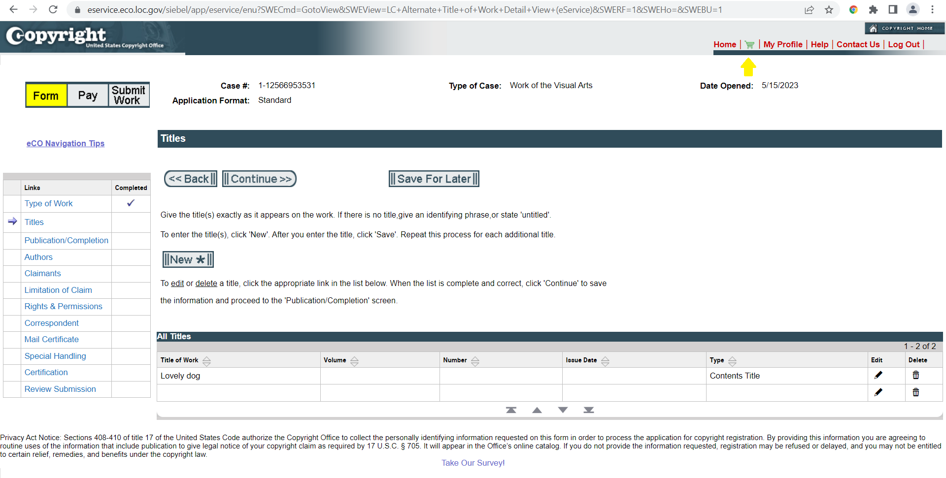 How to register your Image Copyright online and why is it worth doing?