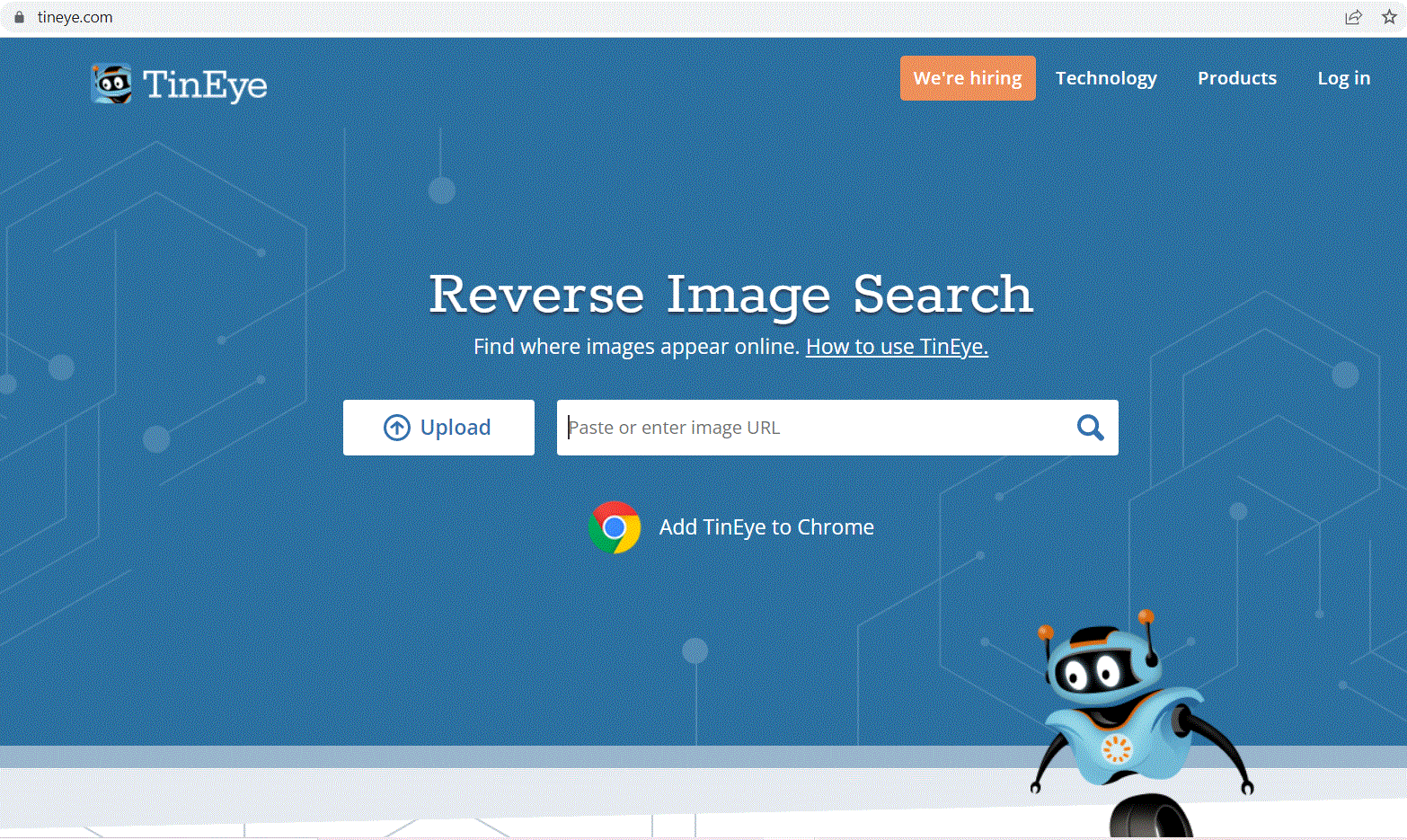5 useful Tips on how to search for your stolen Photos online